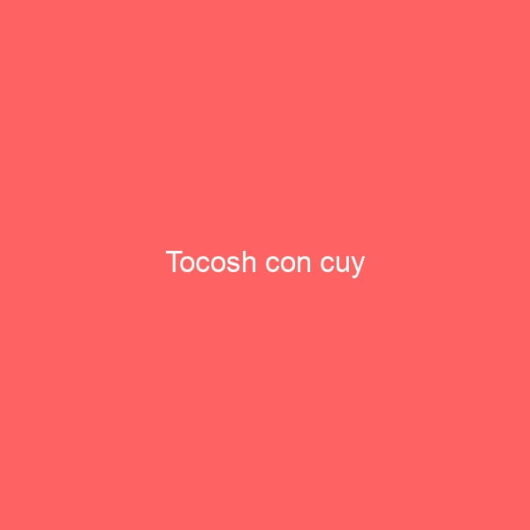 ᐈ 【 Tocosh 】+ Preparación Paso a Paso